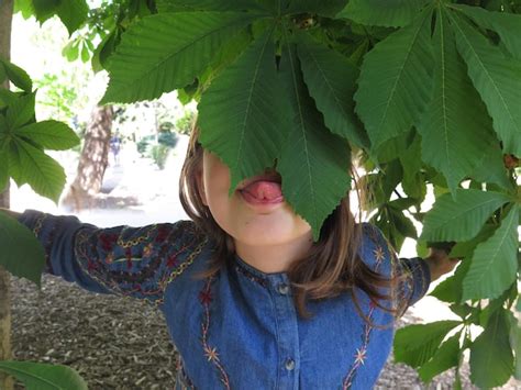 Premium Photo Close Up Of Girl Licking Leaves