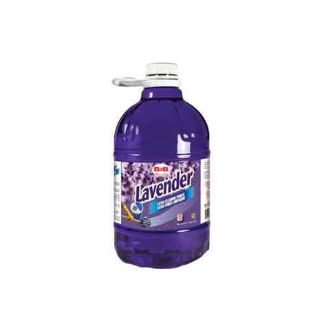 B2b Extra Cleaner Power Lavender 1 Gallon Professional Grade Cleaning