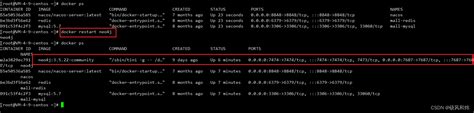 【使用neo4j进行图数据可视化】neo4j 可视化动态 Csdn博客