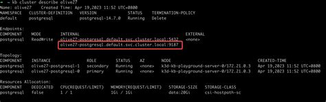 Bug Endpoints Of Postgresql Is Incorrect · Issue 2715 · Apecloudkubeblocks · Github