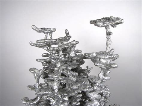 6 Anthill Art Sculptures That Will Blow Your Mind Ant Art Ant Hill