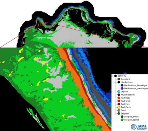Mapping For The Protection Of Coral Reefs Tama Group And Tnc