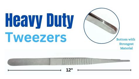 Plain Dissecting Forceps 12inches At Rs 315piece Basti Sheikh