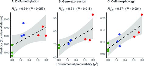 Multilevel Evolution Of Plasticity In Response To Environmental