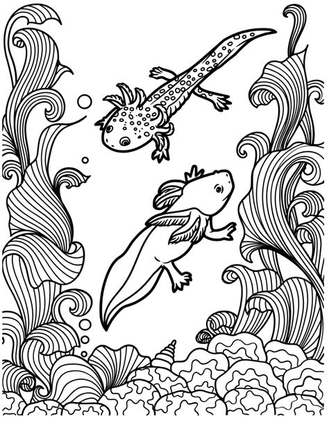 13 Free Axolotl Coloring Pages Pdf Download