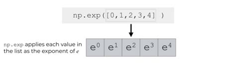 How To Use Numpy Exponential Sharp Sight