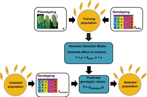 Ai育种小团队能打造中国种业大航母？天丰智慧种子加速器平台上线 知乎