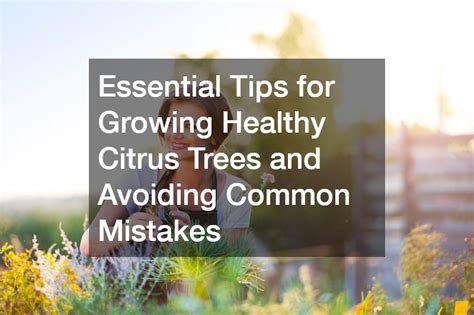 Essential Tips For Growing Healthy Citrus Trees And Avoiding Common