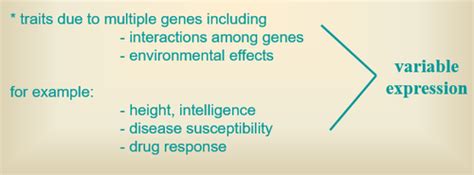 Chapter 20 Quantitative Genetics Flashcards Quizlet