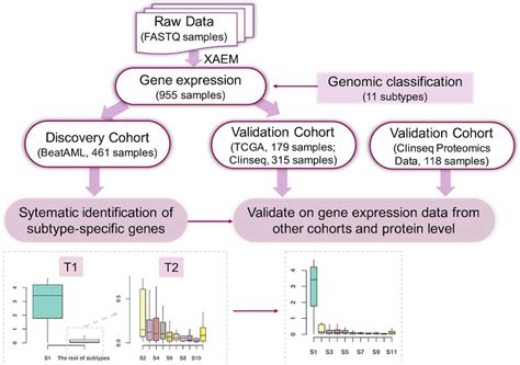 Pipeline Of Systematic Identification Of Subtype‐specific Genes From Download Scientific