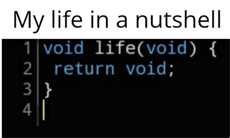 My life in a nutshell : r/ProgrammerHumor