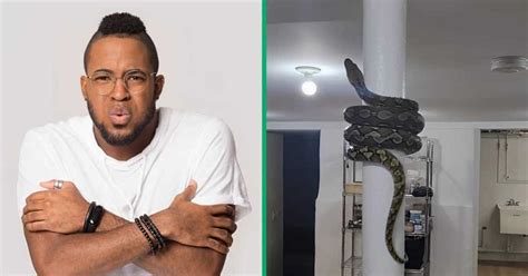 Video Of Big Python Wows Tiktok With Slithery Moves While Wrapping Its