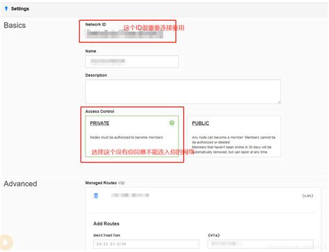 zerotier内网穿透工具配置 zerotier win11 csdn博客