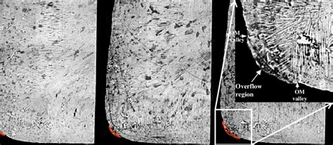 Optical Micrographs Of Horizontal Cross Sections Sample I Showing