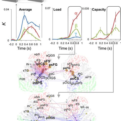 Long Range Phase Synchronization In The Alpha And To A Lesser Extent Download Scientific
