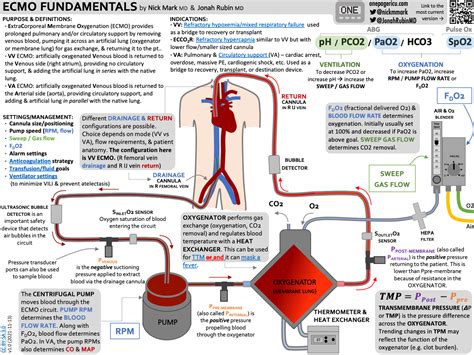 42 Ecmo — Critical Care Time