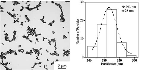 Tem Micrograph And Size Distribution Histogram Of Sio2 Particles Download Scientific Diagram