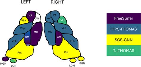 Thalamic Nuclei Segmentation From T1 Weighted Mri Unifying And Benchmarking State Of The Art