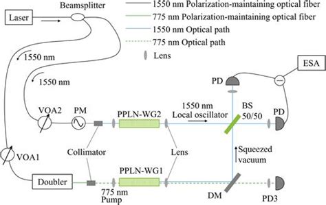 Continuous Wave 6 Db Squeezed Light With 25 Thz Bandwidth From Single Mode Ppln Waveguide Apl