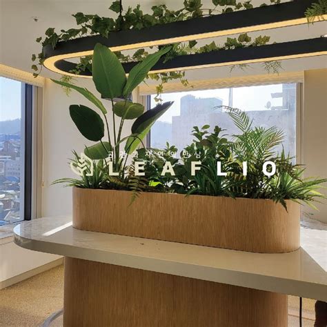 리프리오 그린인테리어 실내식물 매장인테리어