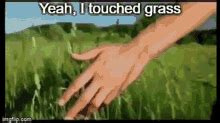 I Touched Grass  I Touched Grass Discover And Share S