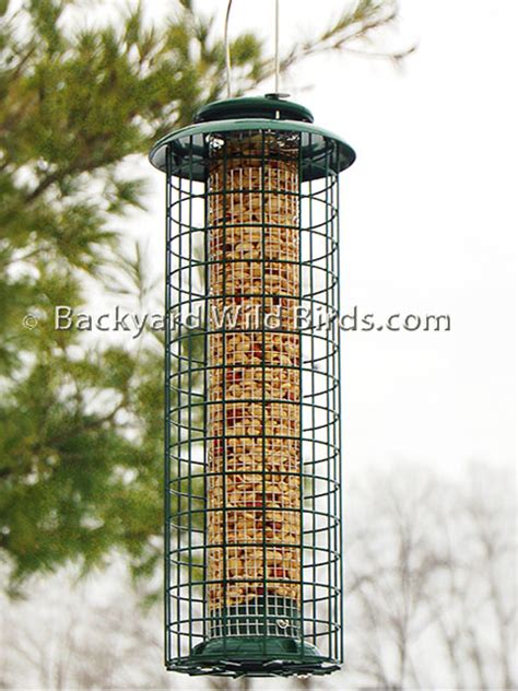 Squirrel Blocker Peanut Bird Feeder