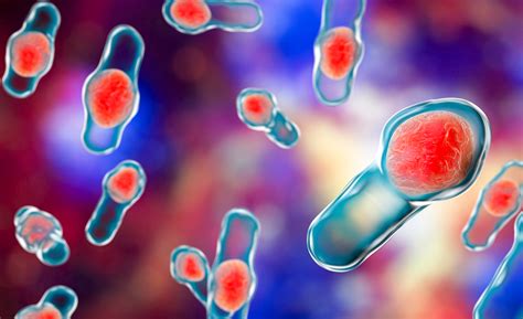 IDSA And ACG Release C Difficile Guidelines