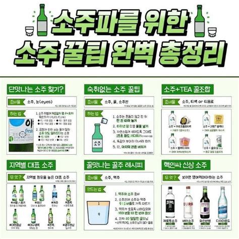 리큐르별 뽕뽑는 존맛 칵테일 레시피 정보지식사이트 술 레시피 칵테일 레시피 레시피