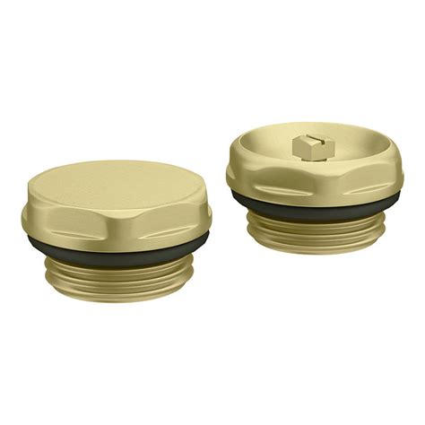 Chatsworth Radiator 12 Bleed Valve And Blanking Plug Brushed Brass