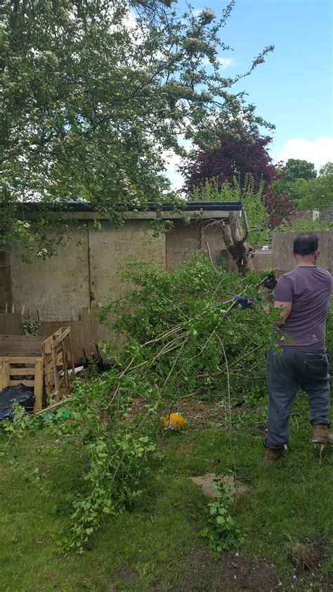 Making A Garden Part 3 Sweet Life And Lemons