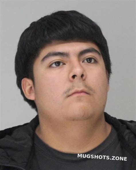 Pastenes Luis 10 17 2024 Dallas County Mugshots Zone