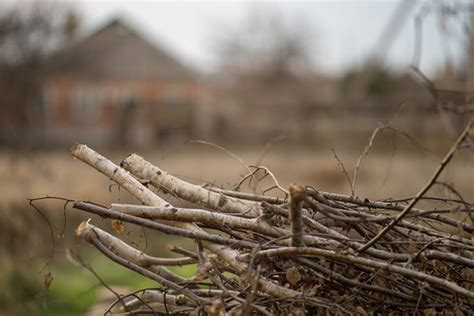 Springfall Tree Limb Collection City Of Wentzville