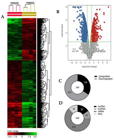 Non Coding Rna An Open Access Journal From Mdpi