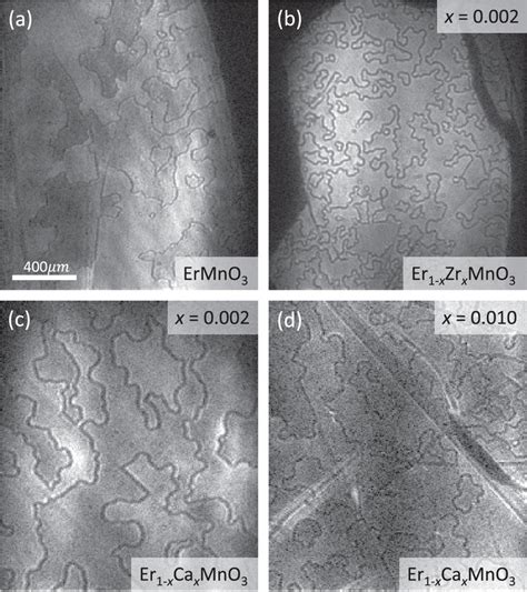 Antiferromagnetic Domain Structure Imaged By Shg Microscopy Download Scientific Diagram