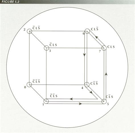 The Longitudinal Muscle In Esophageal Disease A Boolean Model Of The Esophague