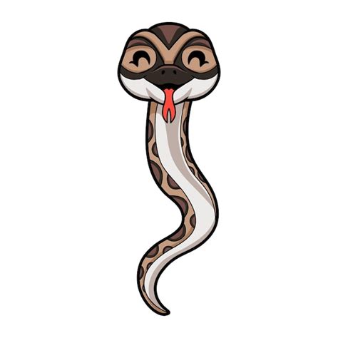 Premium Vector Cute Python Molurus Bivittatus Cartoon