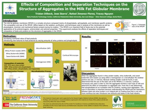 Pdf Effects Of Composition And Separation Techniques On The Structure Of Aggregates In The