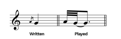 Examples Of The Diff Component Devices In Mr D Tights Flashcards Quizlet