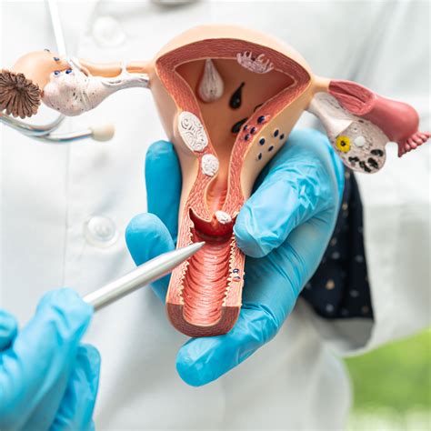 Progesterone Coreplus