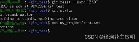 Git Reset Csdn
