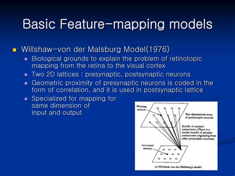 Ppt Clustering Selforganizing Feature Map Powerpoint Presentation