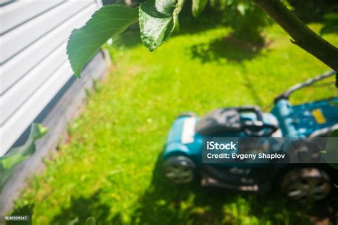 현대 정원이나 뒤뜰의 푸른 잔디에 잔디 발동기 잔디밭을 자르는 기계 원예 관리 도구 및 장비 잔디 다듬기 과정 0명에 대한 스톡 사진 및 기타 이미지 Istock