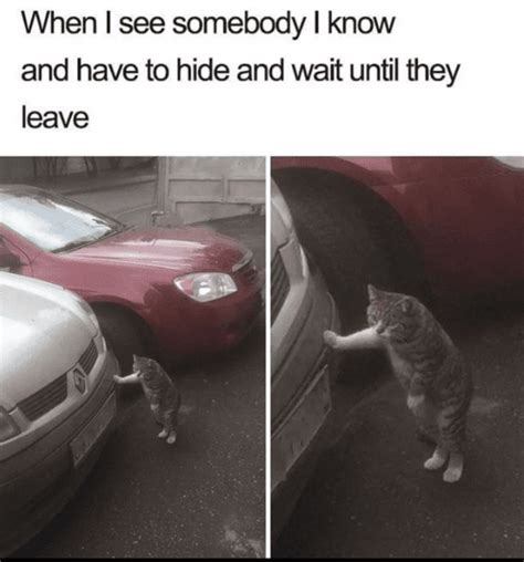 30 Funny Introvert Memes That Require Absolutely Nothing From You
