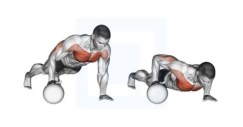 Scapula Push Up Guide Benefits And Form