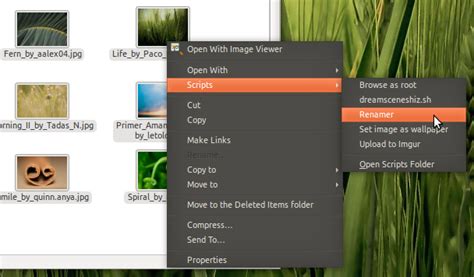 Batch Rename Files In Ubuntu With Renamer OMG Ubuntu