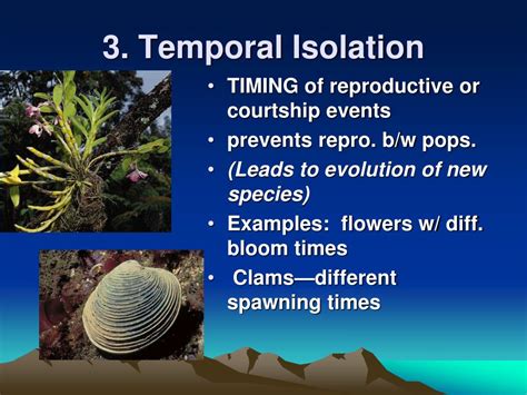 Ppt Chapter 16 Powerpoint Presentation Free Download Id 5633313