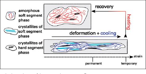 Figure 1 From Designing Uvvisnir Sensitive Shape Memory Filament