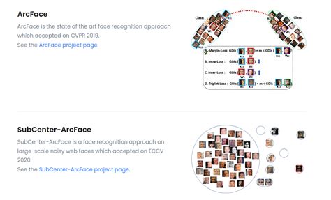 Insightface Integrated Python Library For 2dand3d Face Analysis Catalog 3000 Ai Tools Online