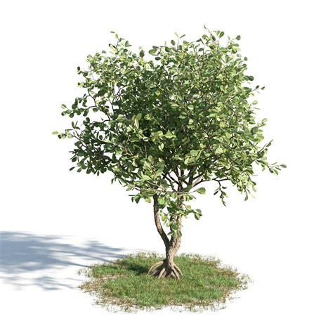 Archmodels Vol 154 3d Model 144 Ma Max C4d Fbx Obj Unknown