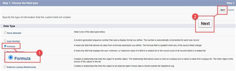 Initcap Function In Salesforce Initial Upper Case Formula In Salesforce